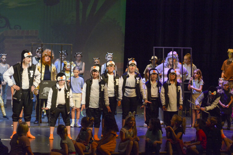 ‘Madagascar Jr.’ | News, Sports, Jobs - Messenger News